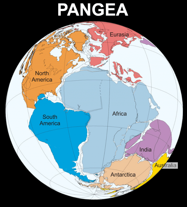 Alfred Wegener : Wildaboutit